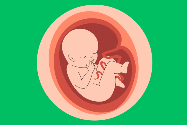 Drjallah.com: Customized Medical Expertise at Jallah Academy | Your ...