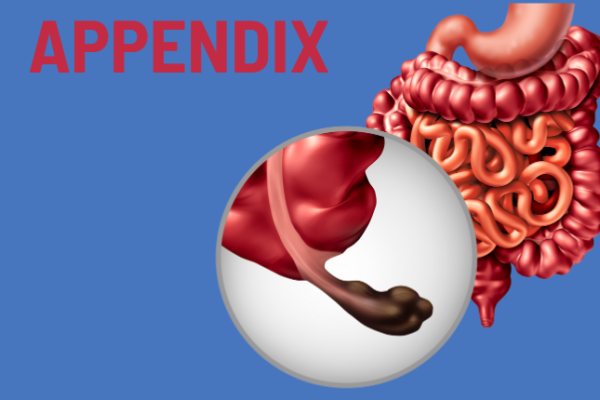 Drjallah.com: Customized Medical Expertise at Jallah Academy | Your ...