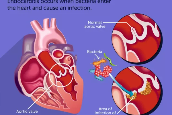 Drjallah.com: Customized Medical Expertise at Jallah Academy | Your ...
