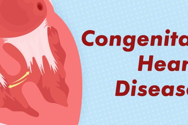 Drjallah.com: Customized Medical Expertise at Jallah Academy | Your ...